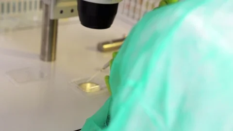 Scientist collecting medical samples on ... | Stock Video | Pond5
