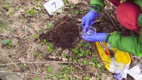 Scientist ecologist in the forest taking... | Stock Video | Pond5
