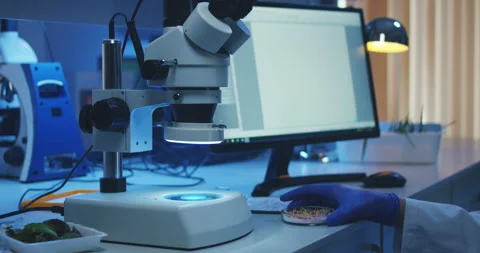 Scientist examining sample with a micros... | Stock Video | Pond5