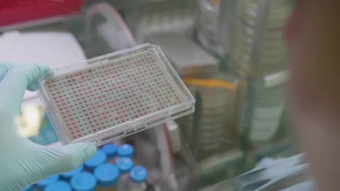 Scientist holding a Microtiter plate bio... | Stock Video | Pond5