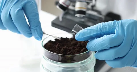 Plant Z Movie Stock Videos – Royalty-Free HD & 4K Videos | Page 3