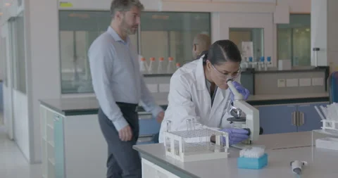 Scientist Meeting in Busy Pharmaceutical... | Stock Video | Pond5