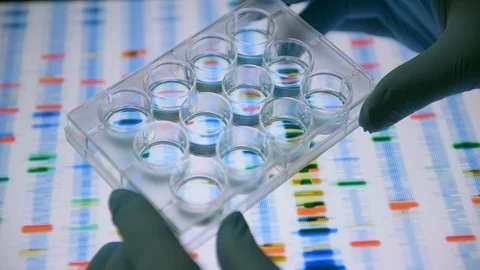 Scientist pipetting a DNA sample into a ... | Stock Video | Pond5