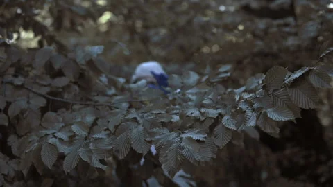 Radiation Hazard Stock Videos – Royalty-Free HD & 4K Videos | Page 3