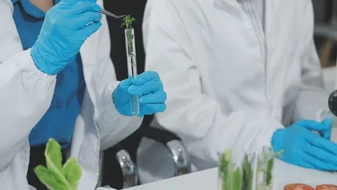 No Ai Tube Stock Videos – Royalty-Free HD & 4K Videos