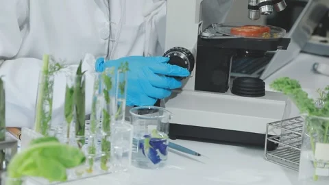 No Ai Tube Stock Videos – Royalty-Free HD & 4K Videos