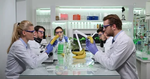 Scientists Colleagues Work Chemistry Lab... | Stock Video | Pond5