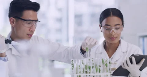 Scientists growing plants in test tubes ... | Stock Video | Pond5