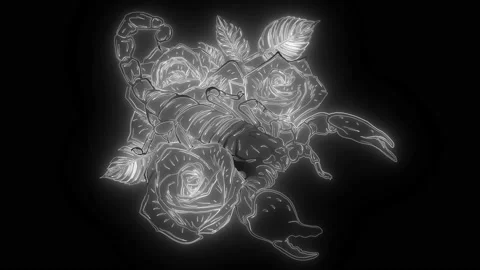 Decorative Frame Outline Stock Videos – Royalty-Free HD & 4K Videos | Pond5