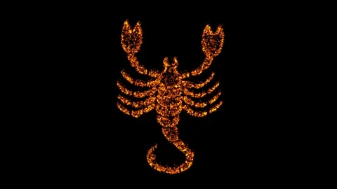 Scorpion symbol with fire particles on p... | Stock Video | Pond5