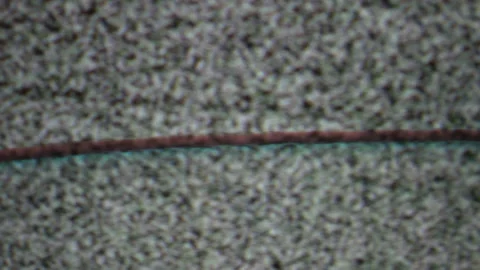 Scrambled Tv Stock Video Footage | Royalty Free Scrambled Tv Videos | Pond5