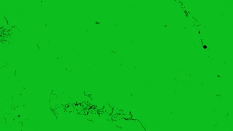 Scratch effect on green screen. Scratch ... | Stock Video | Pond5