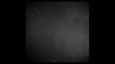 Screen of a Retro TV with scratches and ... | Stock Video | Pond5