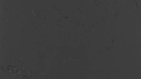 Screen of a Vintage TV with scratches an... | Stock Video | Pond5