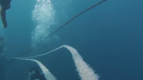 Scuba diver and rope underwater | Stock Video | Pond5
