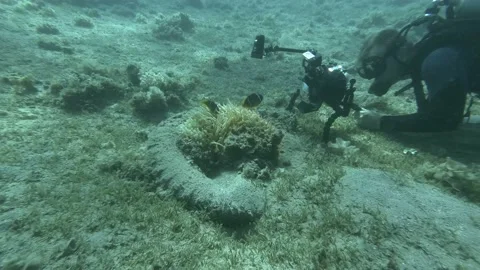 Red Cameraman Stock Videos – Royalty-Free HD & 4K Videos