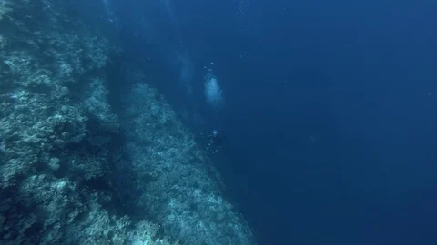 scuba diver in a fast current next to a ... | Stock Video | Pond5
