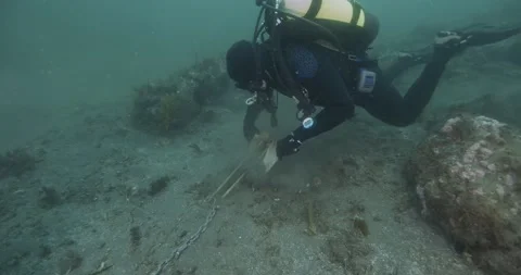 Push Boat Stock Video Footage | Royalty Free Push Boat Videos | Page 8