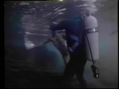 Scuba diver rescuing girl drowning in co... | Stock Video | Pond5