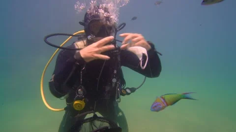 The Scuba Diver With Sign Language Expla... | Stock Video | Pond5