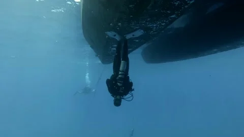 Scuba diver standing upside down on the ... | Stock Video | Pond5