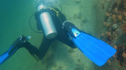 Scuba diver using frog kicking technique... | Stock Video | Pond5