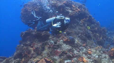 Scuba Diver Coral Stock Videos – Royalty-Free HD & 4K Videos