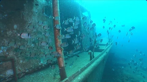 scuba divers exploring ship wreck underw... | Stock Video | Pond5