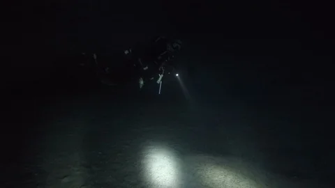 K5Og Signal One Stock Videos – Royalty-Free HD & 4K Videos