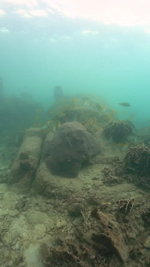 Diving Swim Through Stock Videos – Royalty-Free HD & 4K Videos | Pond5