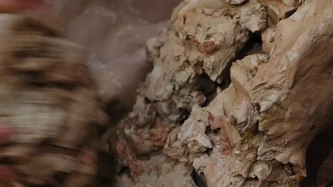 Pugging Stock Footage ~ Royalty Free Stock Videos | Pond5