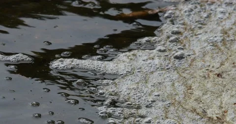Scum from water pollution floating on th... | Stock Video | Pond5