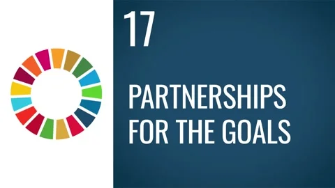 SDGs 17 Partnership for the goals animat... | Stock Video | Pond5