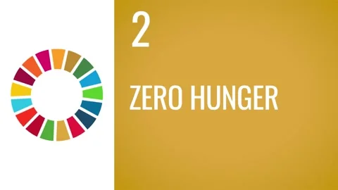 SDGs 2 Zero hunger animation clip Sustai... | Stock Video | Pond5