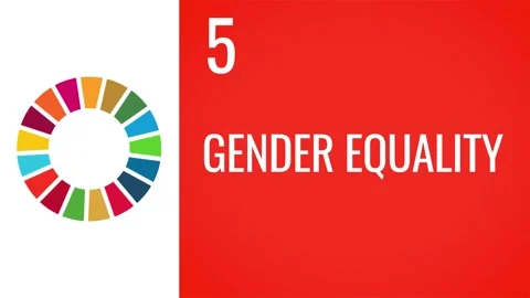 Gender Equality Goal Stock Video Footage | Royalty Free Gender Equality ...