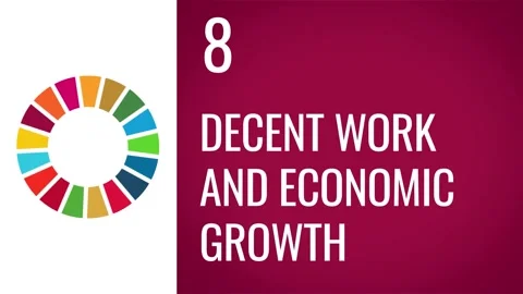 SDGs 8 Decent work and economic growth a... | Stock Video | Pond5