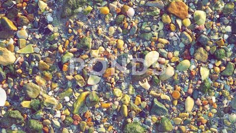 Photograph: Sea background with shells. Close-up texture. Filtered ...