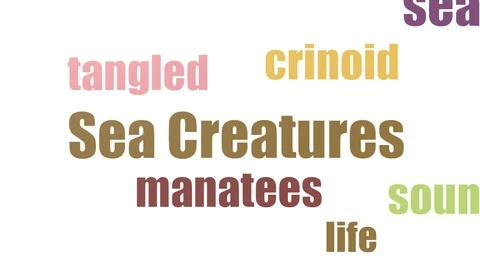 Sea Creatures Tag Cloud Animated On Whit... | Stock Video | Pond5
