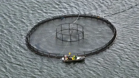 Sea Farm Aquaculture Nets in the Ocean U... | Stock Video | Pond5