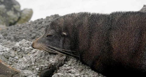 Relaxing Rocks Stock Videos – Royalty-Free HD & 4K Videos