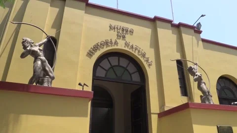 The sea "monster" that inhabited waters ... | Stock Video | Pond5