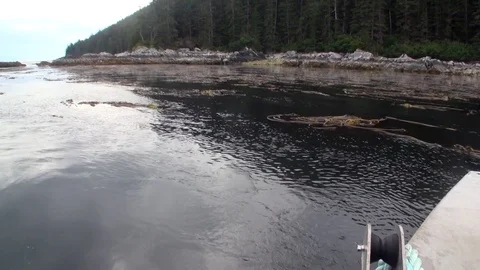 Sea mud and algae on calm water of Pacif... | Stock Video | Pond5