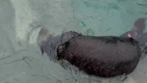 Back Splashes Stock Videos – Royalty-Free HD & 4K Videos