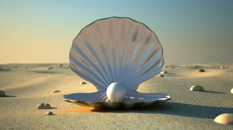 Sea Shell (Front) | Stock Video | Pond5