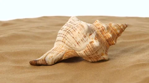 Sea shells with sand, white, rotation, c... | Stock Video | Pond5