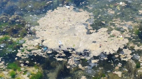 Snot Stock Video Footage | Royalty Free Snot Videos | Pond5