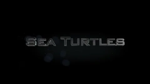 Sea Turtles title metal text on black al... | Stock Video | Pond5
