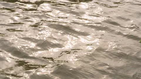 Bokep No Hour Stock Videos – Royalty-Free HD & 4K Videos | Pond5