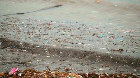 Dump At Beach Stock Videos – Royalty-Free HD & 4K Videos