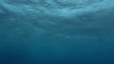 Underwater Pattern Stock Footage ~ Royalty Free Stock Videos | Pond5